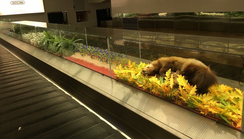 Kim Stanley Robinson and Helena Feder · The realism of our time ...